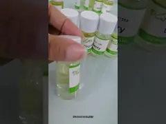 China Perfume Oils Fruit Mint Flavor For Diffuser & Scented Candle Making Free Sample for sale