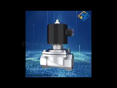 SS304/SS316/201 Stainless Steel Valve Solenoid Valve OEM, ODM, OBM