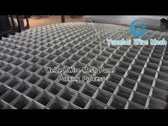 China Galvanized 3D Triangle Bending Fence 4.0mm Wire 50x200mm Mesh for sale