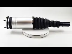 China Shock Absorber LR102253 Land Rover Discovery 5 2017-2020 L462 Front Left-For Replacement for sale