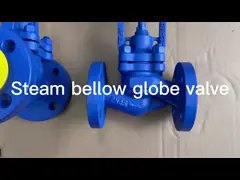 Steam Trap