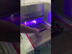 Small Desktop LED UV Curing Machine 1000W for Fast Drying of UV Glue and Ink