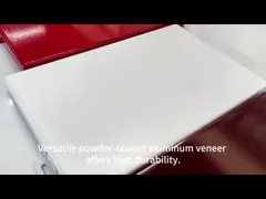 Versatile Powder Aluminum Veneer  High Durability