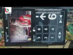 Custom Transparent 4.3 TFT LCD Display , 480 * 272 Dot TFT Color Screen