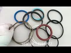 Boom Cylinder Seal Kit