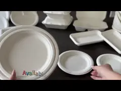 中国 PFASフリー 6 7 9 10インチ 使い捨てパーティ用食器 100% コンポスタブル 使い捨て砂糖ゴム用食器 バガース 丸い皿 販売のため