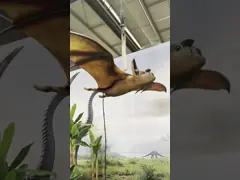 Jurassic Park Simulated Animatronic Dinosaur Model For Amusement Park