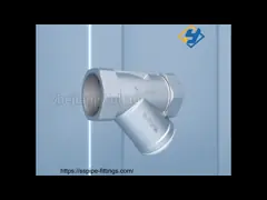 China Stainless Steel Y-Type Strainer Valve BSPT BSPP NPT DIN for sale