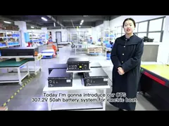 China Deep Cycle Lithium Batteries Pack 307.2v 50ah Lifepo4 Battery For Marine Boat for sale