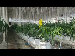 China Advanced Steel Gutter For Hydroponic And Substrate Steel Planting Systems for sale