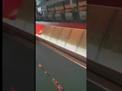 China 9-18T/H High-Precision Wheat CCD Color Sorter 99.99% Accuracy for sale