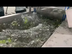 China Ozone Fruit And Vegetable Bubble Cleaning Machine For Salad Processing for sale