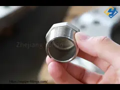 Stainless Steel Screwed Tube Fittings Hex plug