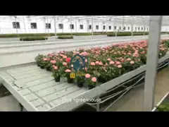 China Hydroponics Ebb And Flow Rolling Benches Greenhouse Plant Trays UV Protection for sale