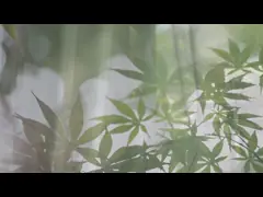 China WEIZI WZ-SL3000 Hydrogen SPA Machine with 8.37Kg Weight and 36-Month Warranty for Skin Care Therapy for sale