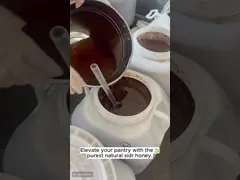 100% Pure Natural Organic Bee Honey Sidr Honey with Distinctive Aroma and Color