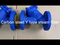 Steam Trap