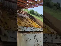 China 30mm Thick Polyurethane Screen Mat for Mining Coal Screening for sale