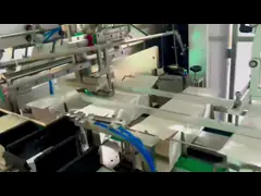 China 50Hz Automatic Cartoning Machine Multifunctional Nitrile Gloves Box for sale