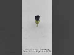 4954905F 4088750 Temperature Sensor Cummins Engien Parts 6BT5.9