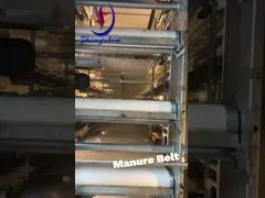 China PP Chicken Manure Conveyor Belt Chicken Cage Manure Removal Belt for sale