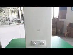10L Flue Type Instant Gas Water Heater Factory Direct Supply