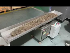 China Stainless Steel Hopper Single Bucket Elevator Conveyor for sale