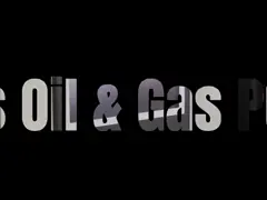 Cina   protetto contro le esplosioni del   dell'alto efficace di vuoto di disidratazione dell'unità dell'olio sistema di vuoto in vendita