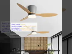 Silent DC Motor, 3 ABS Reversible Blades, Black and White Styles Available, 42 Inches, 6 Speed Indoor Ceiling Fan