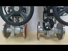 Pneumatic Actuator valve