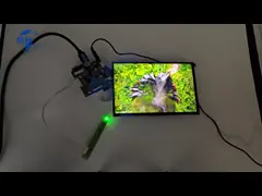 China 1280x800 600nits High Brightness LCD Display 10.1 Inch LVDS Interface LCD Display Screen for sale