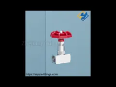 stainless steel 304/316 OEM, ODM, OBM Stainless Steel Valve J13W Valve