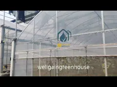China Outdoor Large Multi Span Greenhouse Agriculture Metal Frame Plastic Greenhouse for sale