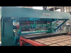 Máquina de bandejas para huevos de pasta de papel de reciclaje (8000-10000pcs por hora)