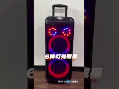 China 8 quot Woofer Portable Party Speaker with LED Lighting and Bluetooth Connectivity from Temeisheng for sale