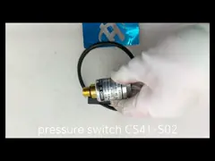 pressure switch CS41-S02