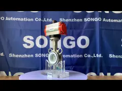 China PTFE Sg Lug Type Pneumatic Actuator Butterfly Valve SS304 Double Acting With 24VDC Solenoid Valve for sale