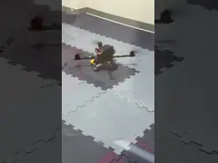 FPV