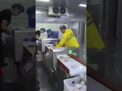 Food Metal Detector Detector Conveying Aluminum Foil Packaging Detector