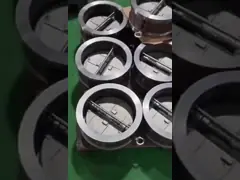 China Stainless Steel 304 Wafer Dual Disk Check Valve Pn16 Flange End For All Flanges Up To Pn16 for sale