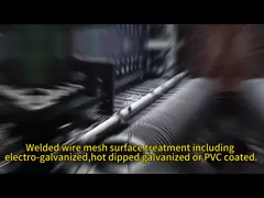 China Holland Pvc Coated Welded Wire Fence Mesh Chicken Coop Welded Rabbit Cage for sale