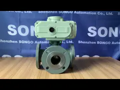 Pneumatic Actuator valve