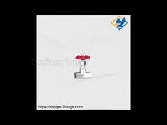 Stainless Steel Valve Globe Valve