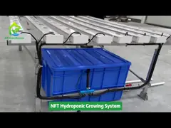 China Vertical Farming Soilless Cultivation Hydroponic NFT Square Pipe System for sale