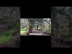 China 1ton Payloads Light Duty Mini Crawler Dumper For Mining Transportation for sale