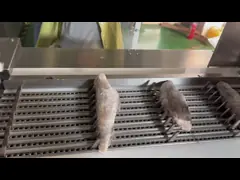 China Multiple Bone Saw Machine Commercial Frozen Fish Cutting Machine with belt outlet for sale