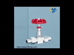 ASTM BS DIN ISO JIS Stainless Steel Valve J23W OEM, ODM, OBM