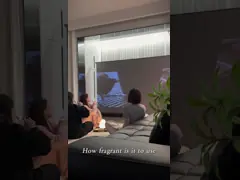 China 120 Inch Floor Rising Screen Electric Ultra Short Throw Laser Projector Screen for sale