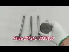 Cummins K19 inlet and outlet valve 207241 3035110