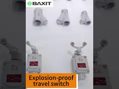 China Explosion-Proof Travel Switch LX5/DLXK-Z Roller Piston Limit Switch for sale